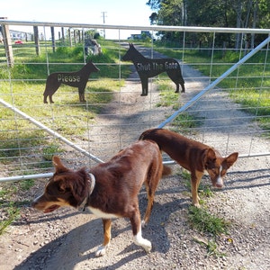 Rustic Steel Kangaroo Family Outdoor Garden Decoration - Etsy Australia