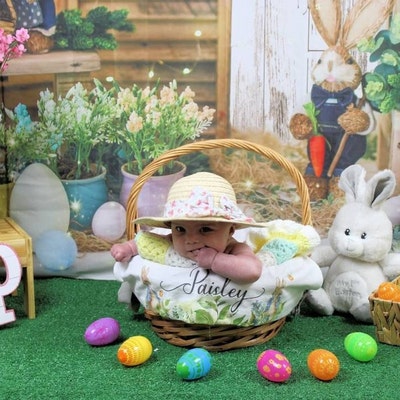 Peter Rabbit Personalized Easter Basket Liner Custom Easter Basket ...