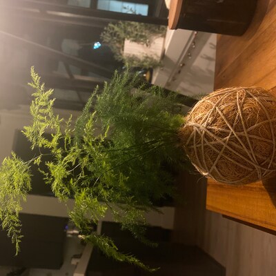 Vintage Envelope Letter Packs Antique Style Blank Letter With - Etsy