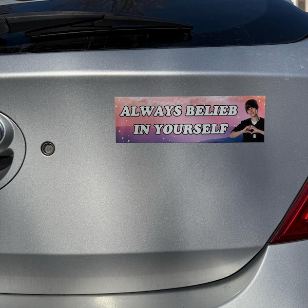 Why the Hell Are You Honking Loca Bumper Sticker AND Magnet Funny Meme ...