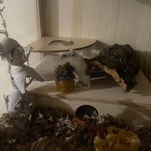 Gideons Hideout Cardboard House for Rabbits Hideout and Chew - Etsy