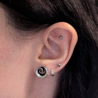 Swirl Ear Gauges Gauge & Plug Earrings Spiral Ear Gauges Saddle Plugs Gauges for Stretched Ears ...