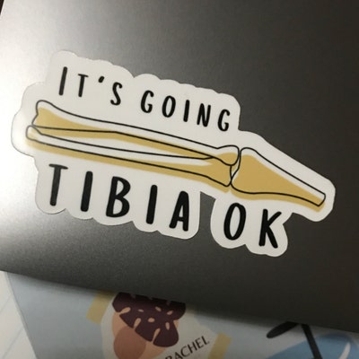 Science Pun Stickers Science, Biology, Chemistry, Pre-med water Bottles ...