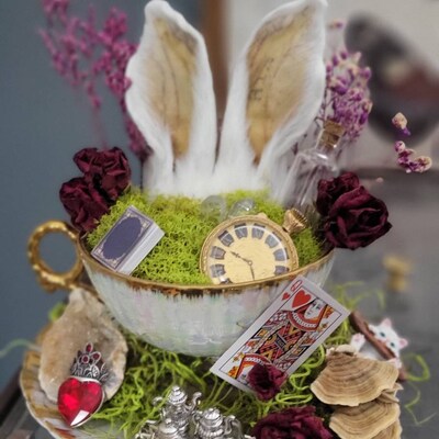 Saturn Atlas Moth Frame Specimen Entomology Taxidermy Curiosities ...