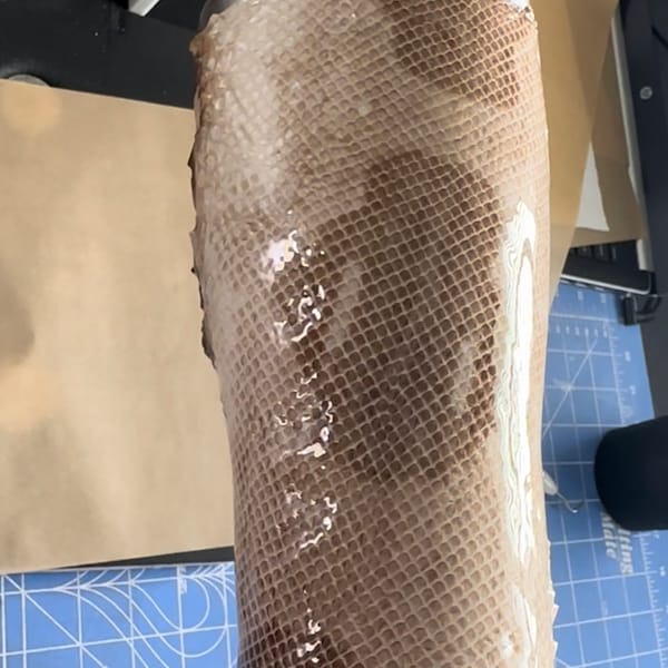 Snake Skin Shed Boa Constrictor - Etsy