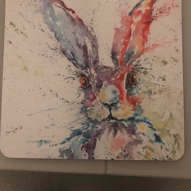 Gekko Art. Wildlife Artist Sandi Mower Art by GekkoArtWatercolours