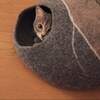 Pebble Wool Felted Cat Cave, Modern Pet Furniture, Cat Lover Gift, Cozy ...