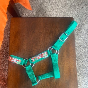 Miniature Donkey Foal & Small Size Halter W/ Overlay choose - Etsy