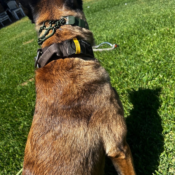 33in Chain Traffic Lead/leash Custom Powder Coated for Dogs, Biothane ...