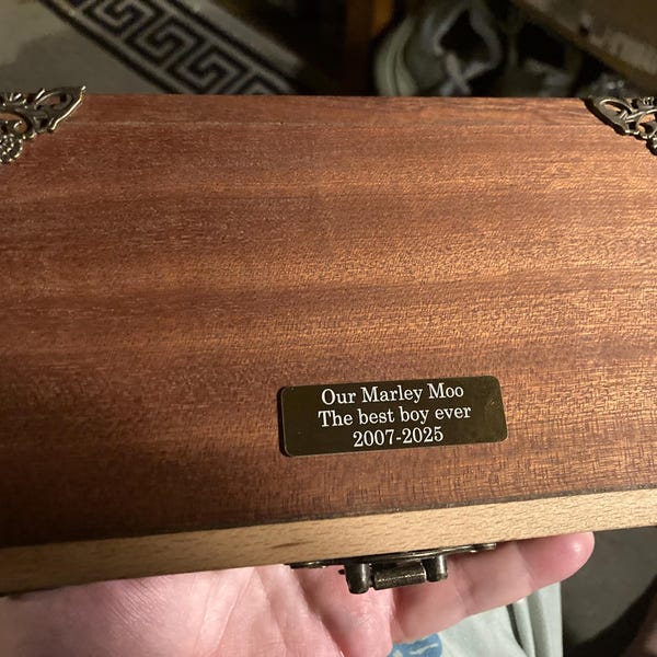 Personalised Trophy Engraving Plate 50mm X 25mm - Etsy