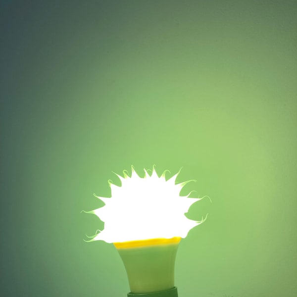 Limited Edition Ubo 3D Led. Original Hand Made Design - Etsy