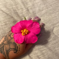 Samoan Pale Fuiono or Samoan Headpiece. Luau Party, Wedding, Polynesian ...