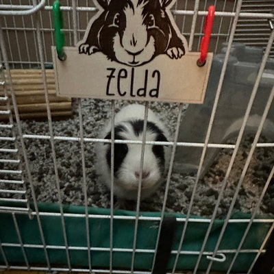 Guinea Pig Cage Tag, Personalized, Custom, Engraved Wood, Pet Guinea ...