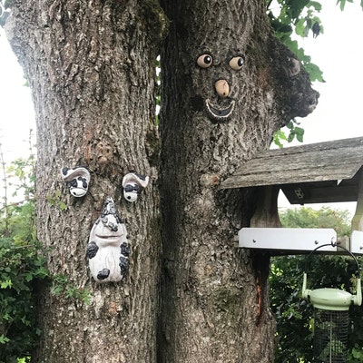 Willy the Tree Face. Funny Faces for Trees. Outdoor Sculpture, Statue ...