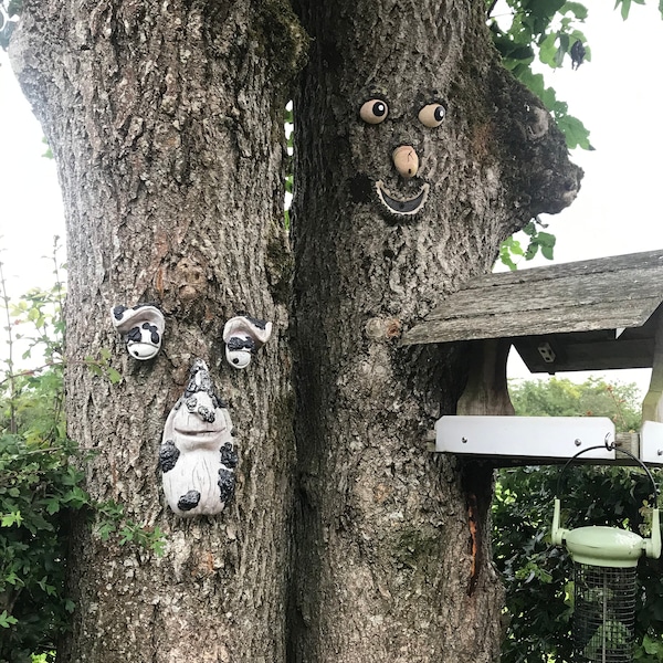 Willy the Tree Face. Funny Faces for Trees. Outdoor Sculpture, Statue ...
