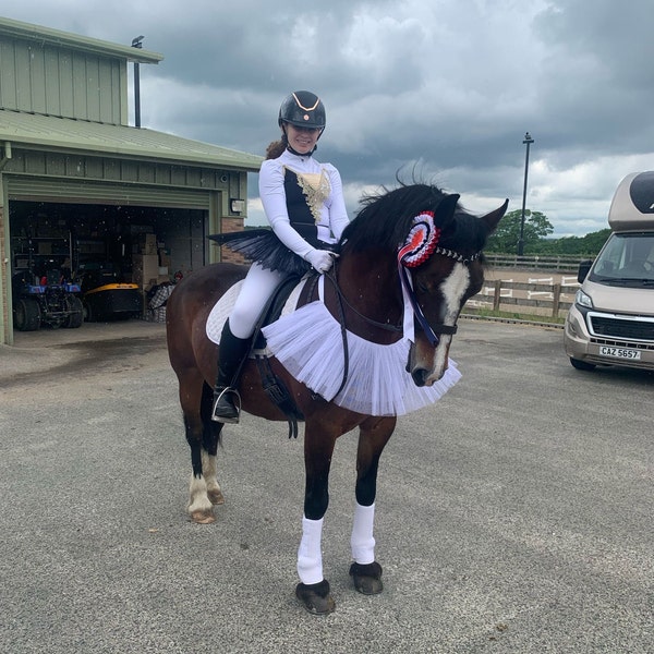 Anatomical Working Hunter Leather Bridle Cavesson Padded Cutaway ...