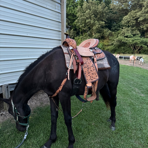 Premium Leather Hand Carved Western Ranch Roper Horse Saddle With ...