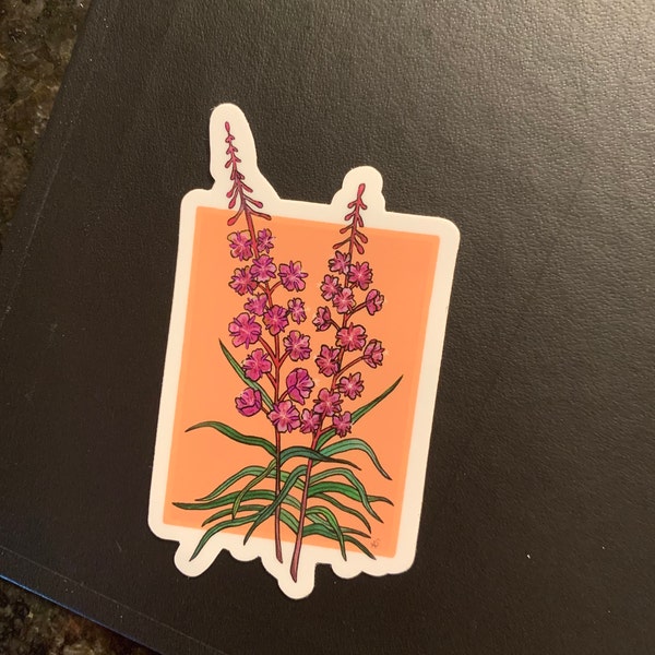 Newfoundland's Provincial Flower - Pitcher Plant | 5x7 High Quality ...