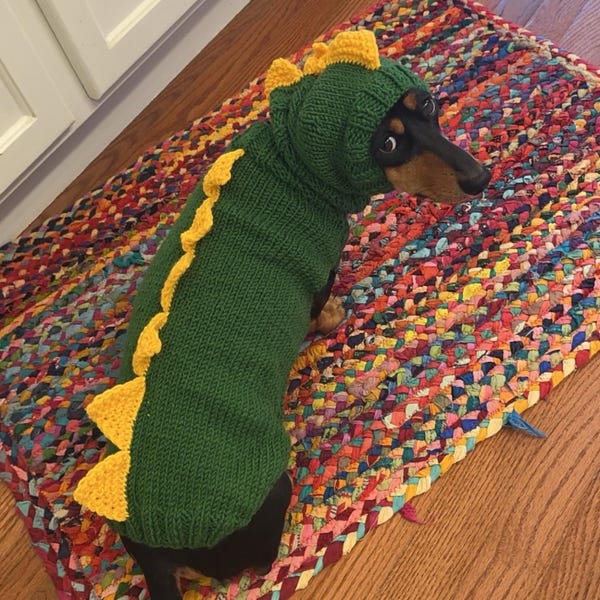 Pet Frog Costume Halloween Costume Frog Sweater and Hat Dachshund Frog ...