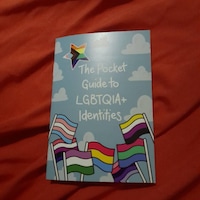 Non Binary Pride Flag Socks - Etsy