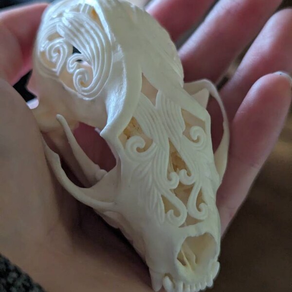 Elegance Red Fox Fang Earrings, Canine Tooth Earring, Tooth Earring ...