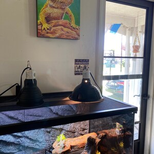 Psychedelic Rainbow Panther Chameleon Hippie Lizard Trippy - Etsy