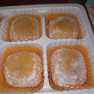 Yum DRIED MANGO SLICES - Etsy