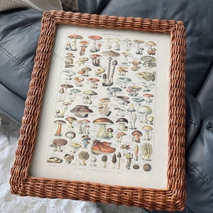 Vintage Style Wicker Picture Frame , Wicker Photo Frame A3, A4 ...