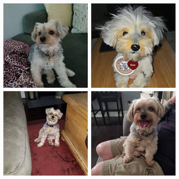 CUSTOM Yorkie Plush, Yorkie Replica, Yorkie Stuffed, Yorkie Plushie ...