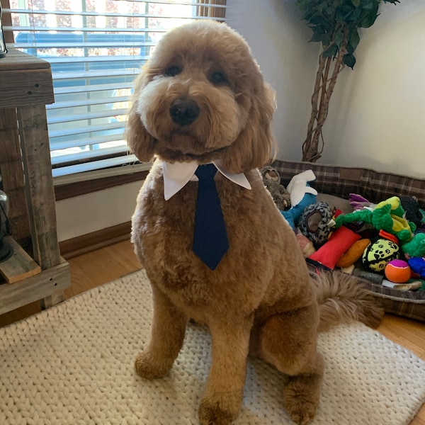 Red Tie for Pets, Dog Necktie Collar, Dog Formal Tuxedo Collar, Dog ...