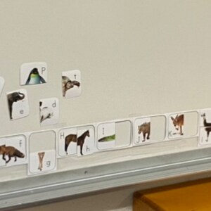 Earth Day Shadow Matching Environment Reduce Reuse Recycle - Etsy