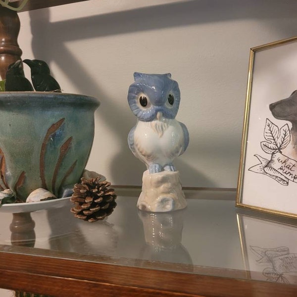 Curated Curiosities Collection, Found Objects, Junk Drawer, Curiosities ...