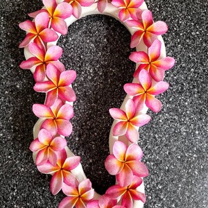 Fiji Sennit Magimagi Kafa Afa Aha by Lauhala Trading - Etsy