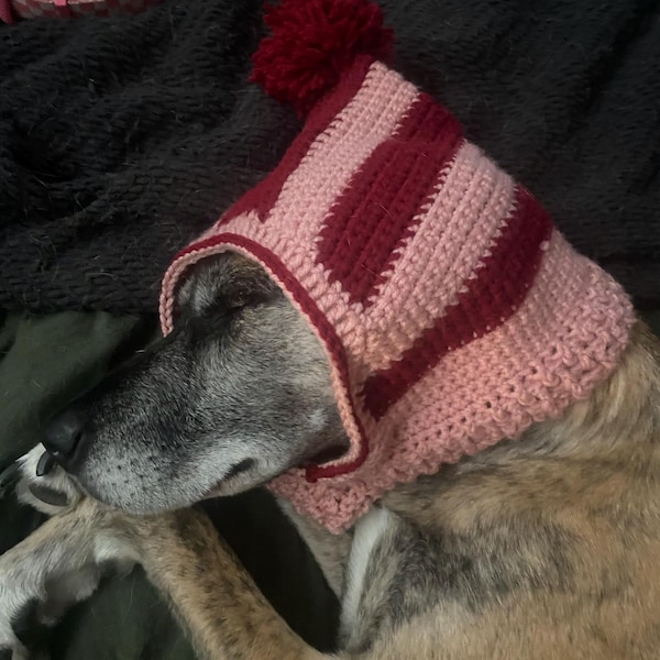 Crochet Dog Hood Pattern - Etsy