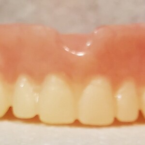 Upper Denture Sample Premade Small to Medium Size - Etsy