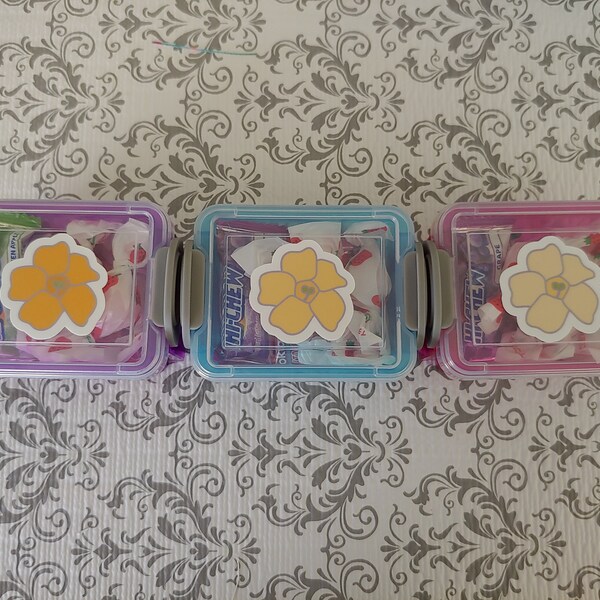 Choose Aloha Rainbow Sticker, Teal - Hawaii Sticker - Aloha Sticker ...