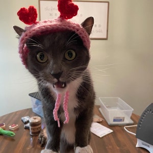 Crochet Pattern: Valentines Day Heart Headband for Cats With Ear Holes ...