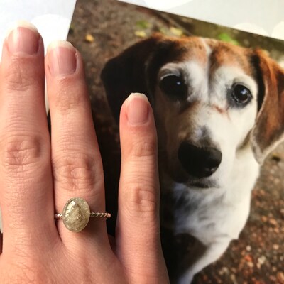 Oval Cremation Ring Sterling Silver OVAL ROPE Pet Loss Ring Pet ...