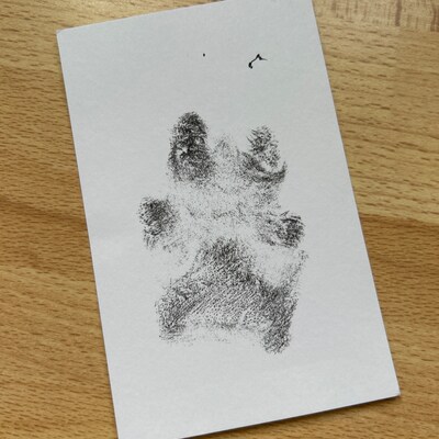 No-touch Inkless Baby Hand and Footprint Kit Painless Perfect Prints ...