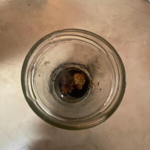 Kauri Copal-borneo Kauri-for Incense-craft and Art-agathis Borneensis ...