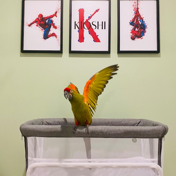 Gaming Print, Printable Gaming Poster, Gamer Print Digital Download ...