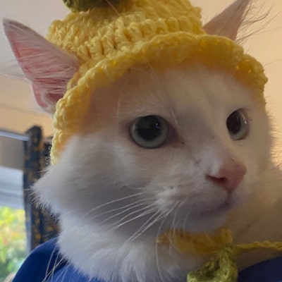 Crochet Lemon Hat for Cats - Etsy UK