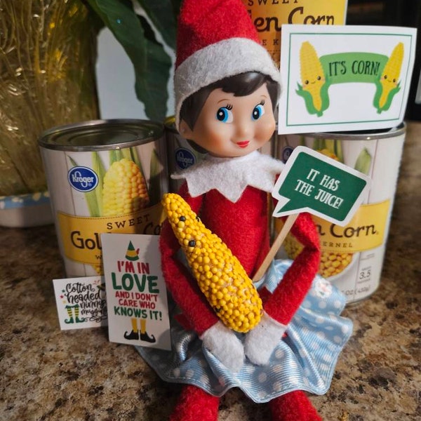 Reversible Bermuda Bag Cover Sewing Pattern PDF Digital Download - Etsy