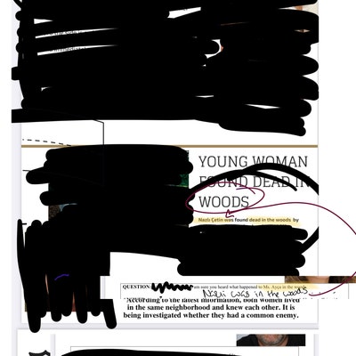 Printable Murder Mystery Game, Unsolved Cold Case Files, Cold Case ...