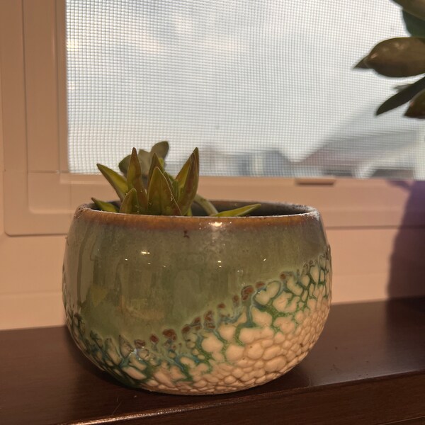 Ocean Coral Succulent Planters - Small Pottery Planter - Mini Succulent ...