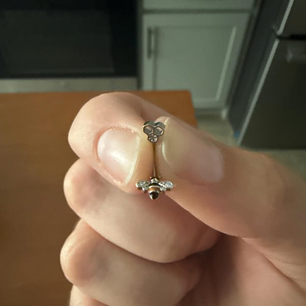 NEW ‣14g Bar 6mm ‣ Implant Grade Titanium - Internally Threaded ...