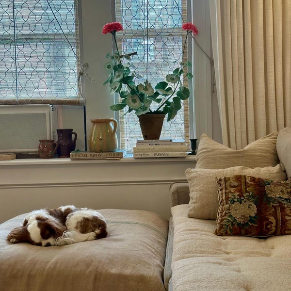 Cross Thread Design Chik Blind Shade - Etsy