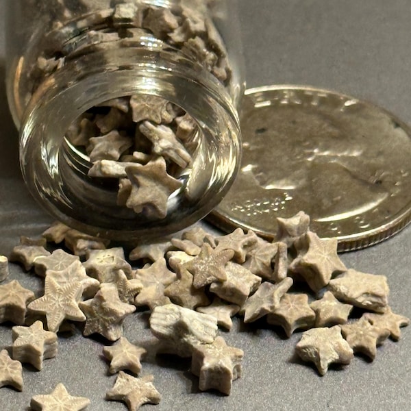 Star Crinoids From Southern Utah. - Etsy