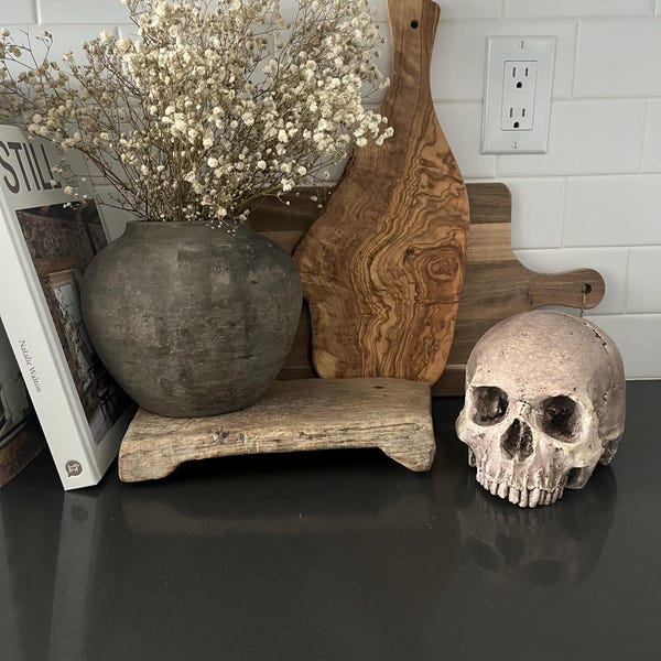 Human Skull Replica, Realistic Full Size Skull Made From Polymerised ...