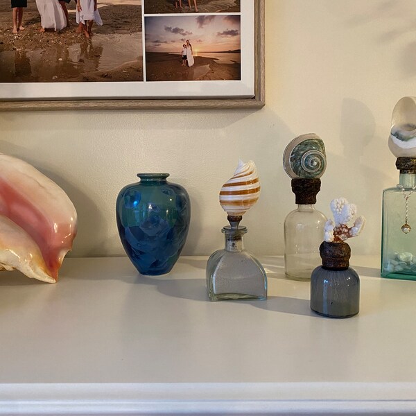 Oyster Shell Christmas Ornament, Whimsical Hummingbird or Chickadee - Etsy